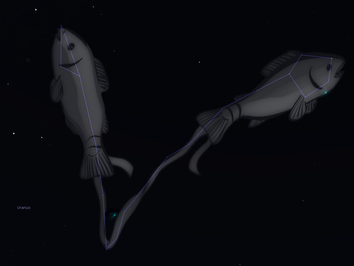 Sternbild Fische (Pisces) * deinstern24.de