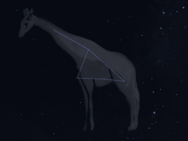 Sternbild Giraffe (Camelopardalis) * deinstern24.de