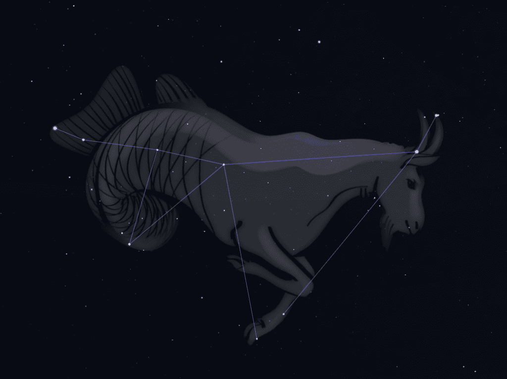 Sternbild Steinbock (Capricornus) * deinstern24.de
