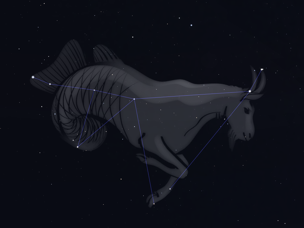 Sternbild Steinbock (Capricornus) * deinstern24.de