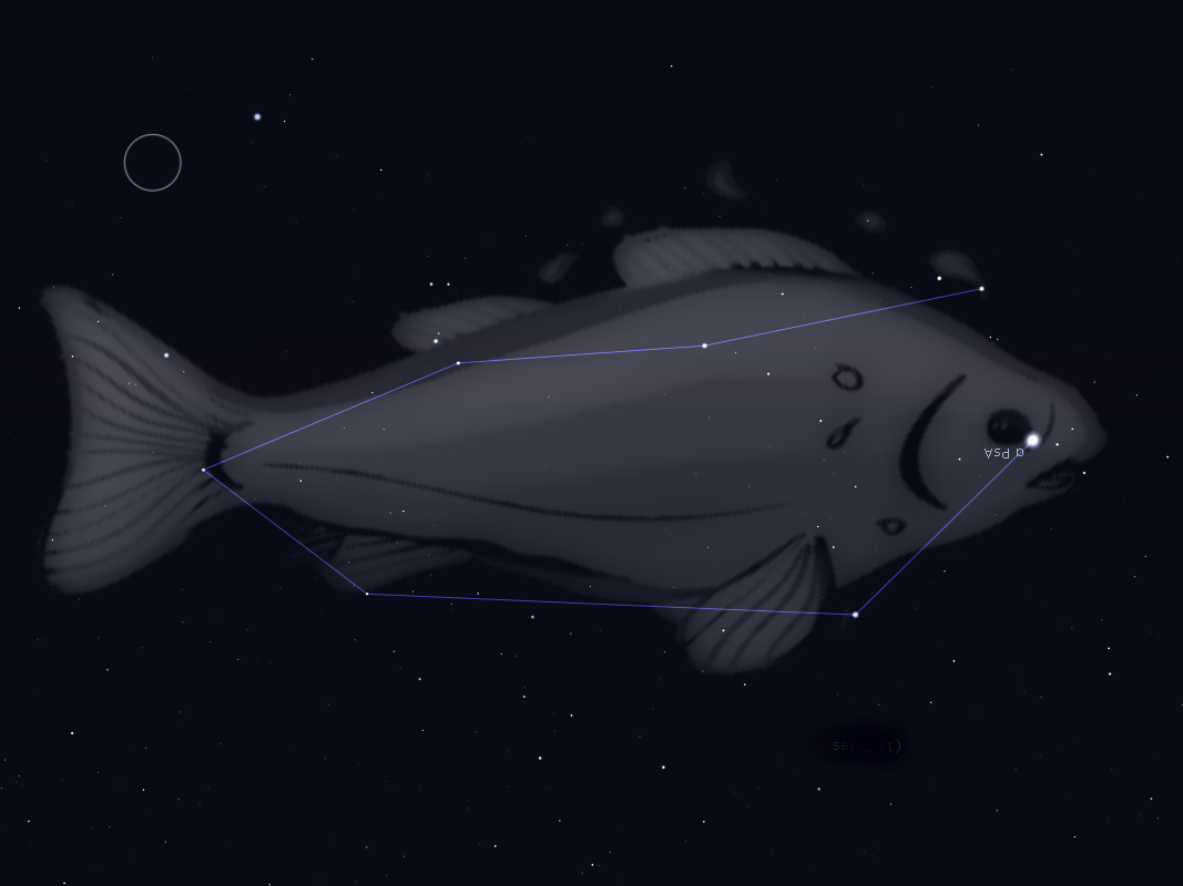 Sternbild Südlicher Fisch (Piscis Austrinus) * deinstern24.de