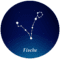 Sternbild Fische (Pisces) * deinstern24.de