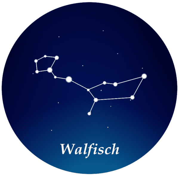 Sternbild Walfisch (Cetus) * deinstern24.de